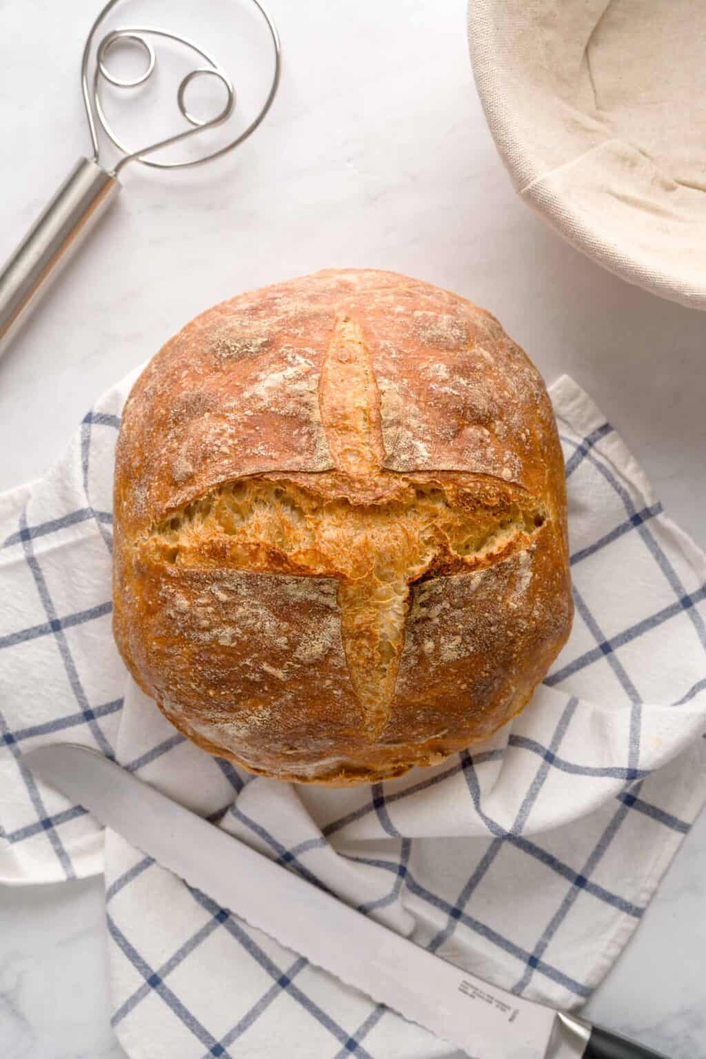 Rustic Italian Bread (No Knead!) - A Fabulous Bite